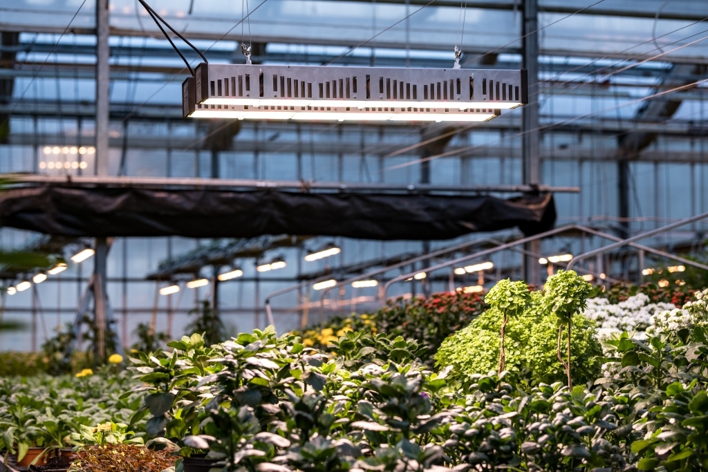 SANLIGHT - EVO 8C COMPACT 200-440V | 1250W | PER UTILIZZO IN SERRA ...