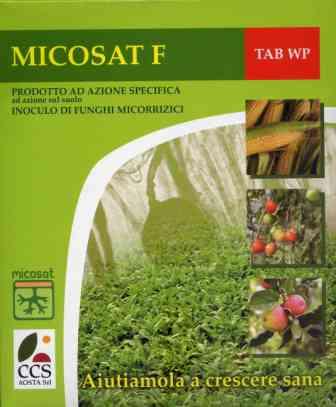 MICOSAT F WP TAB BIOSTIMOLANTE CON MICORRIZE 100G, INDOORLINE - Indoor ...