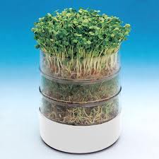 GERMINATORE DI SEMI BIOSET, INDOORLINE - Indoor Growing Attitude